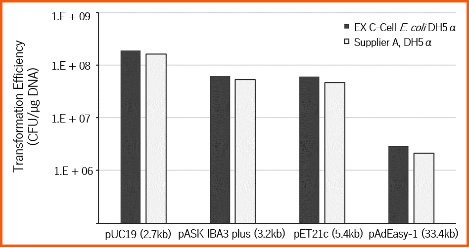iNtRON Biotechnology DR